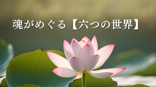 【六道輪廻】魂がめぐる六つの世界｜ノーマ NOMA｜coconalaブログ